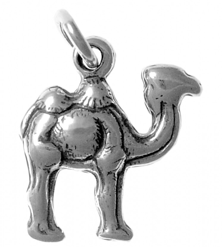 Sterling Silver 3D Camel Pendant | My 12 Step Store