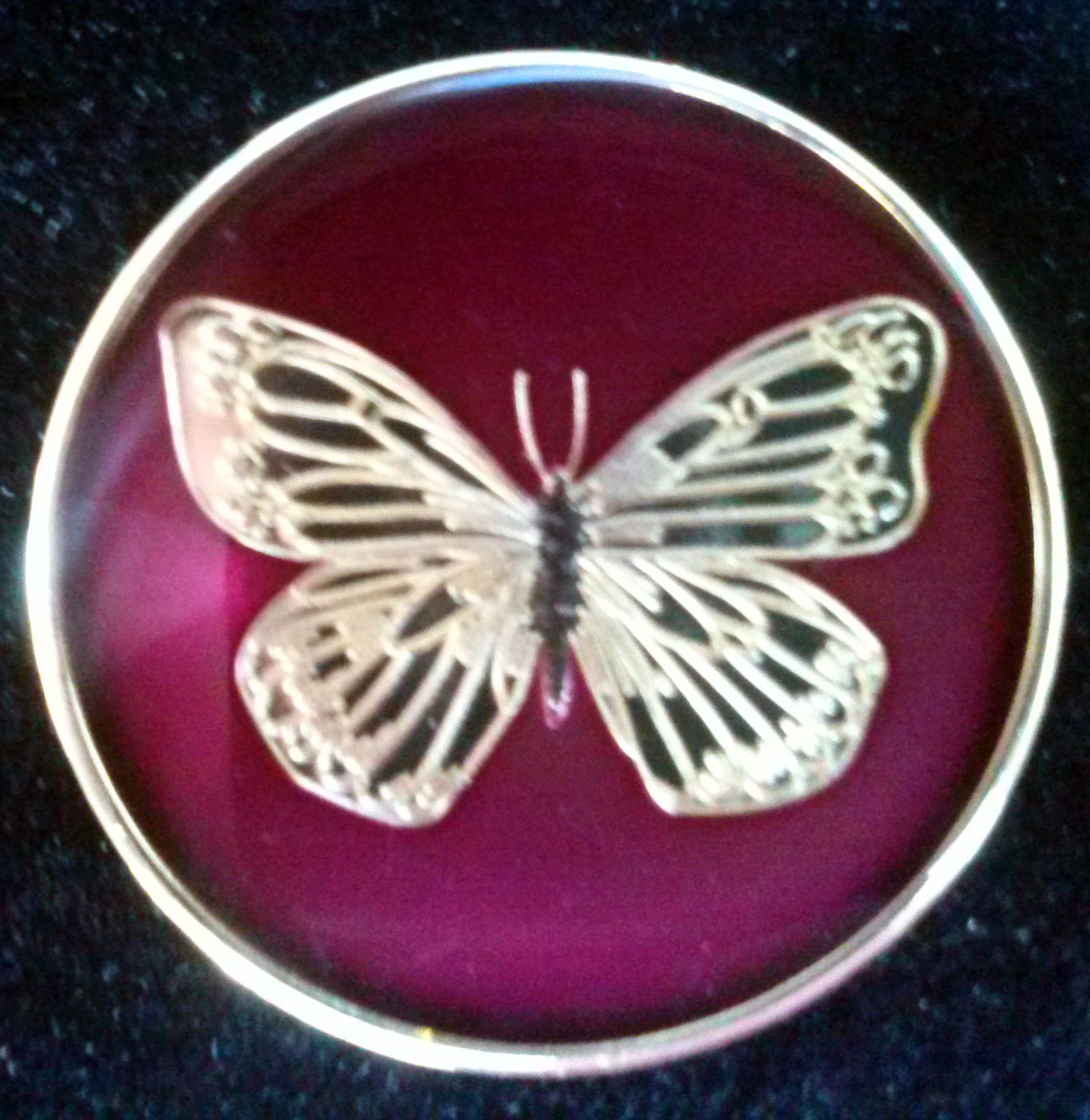 Butterfly Enamel Medallion - Red | My 12 Step Store