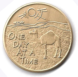 Bronze Camel Poem Medallion | My 12 Step Store