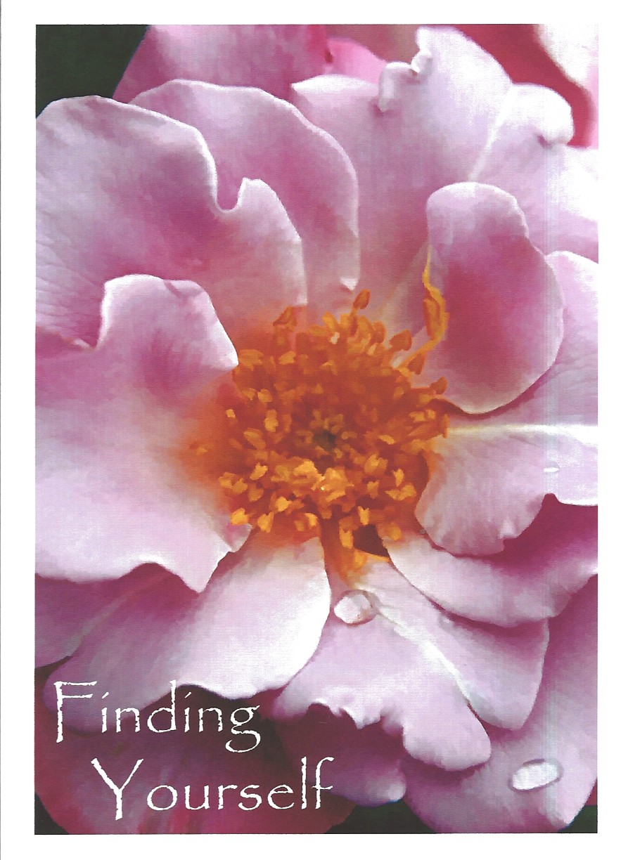 Finding Yourself Greeting Card | My 12 Step Store