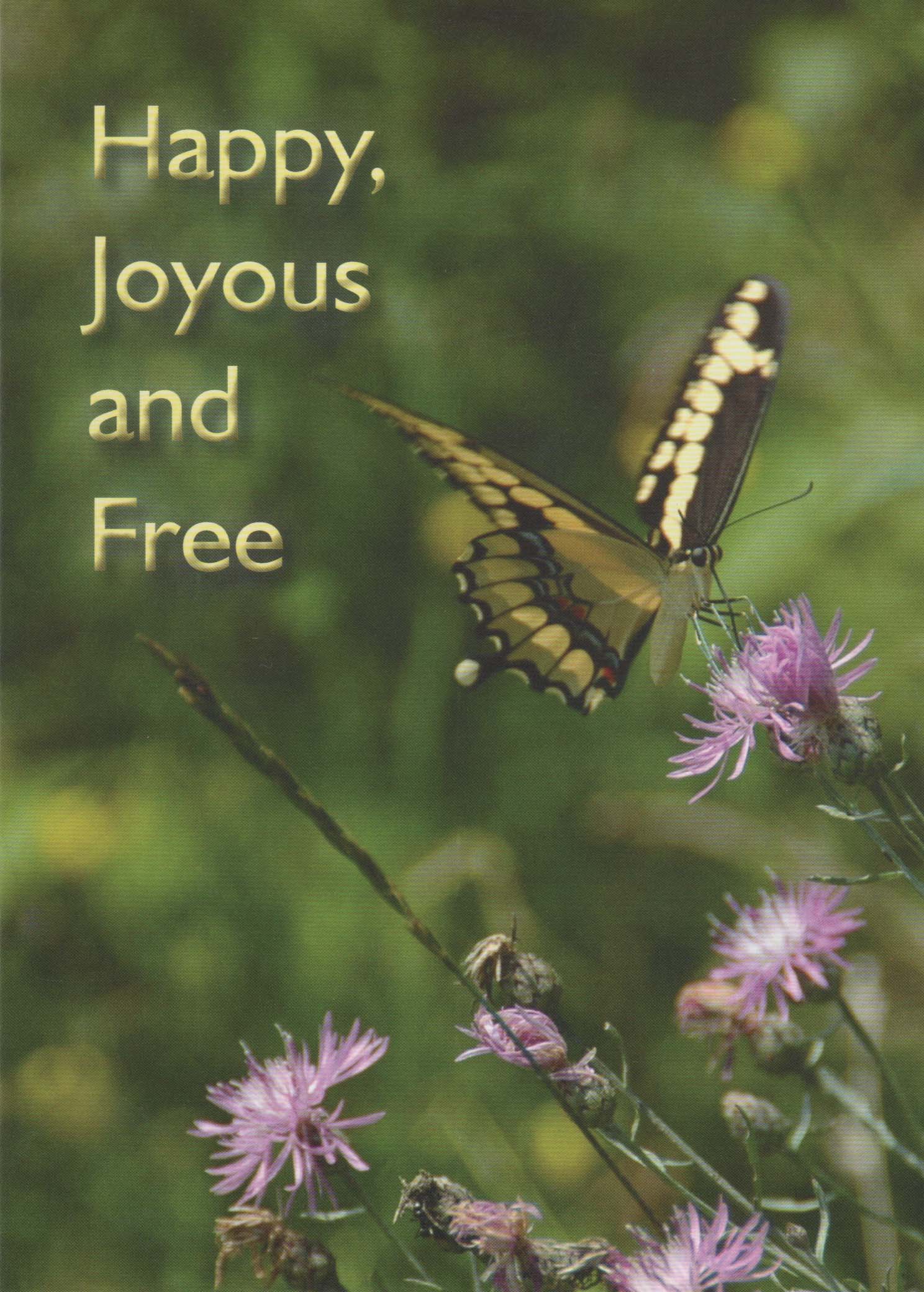 Joyous Butterfly Recovery Greeting Card