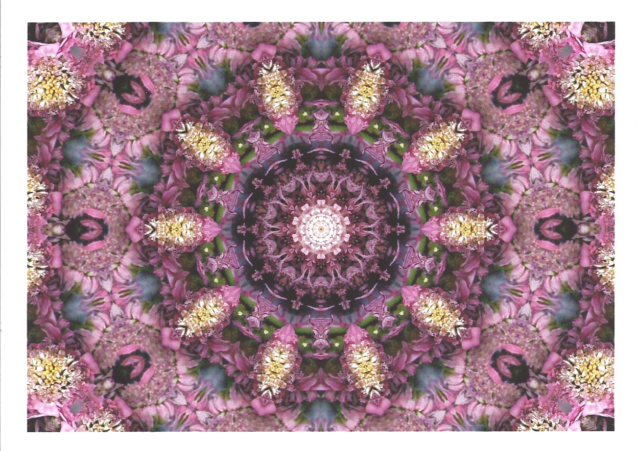 Mandala Pink Greeting Card | My 12 Step Store
