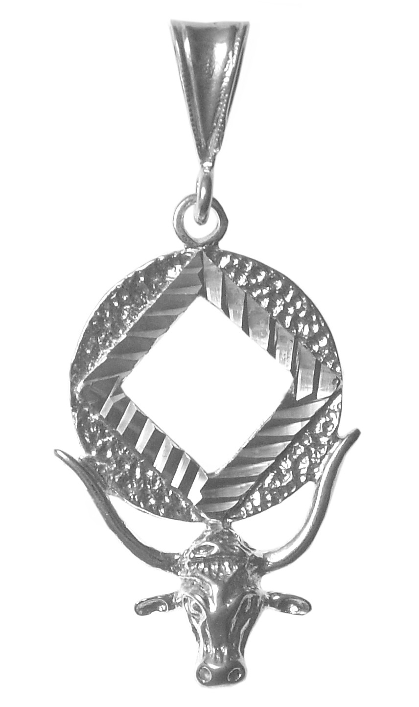 Sterling Silver NA Longhorn Pendant | My 12 Step Store