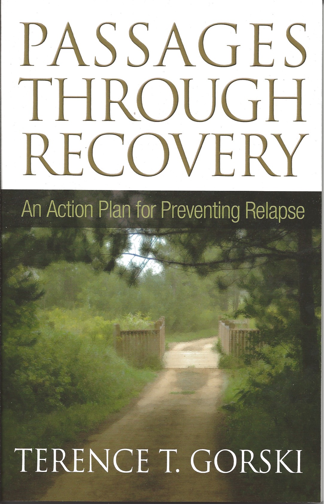 Passages Through Recovery by Terence T. Gorski (Softcover)