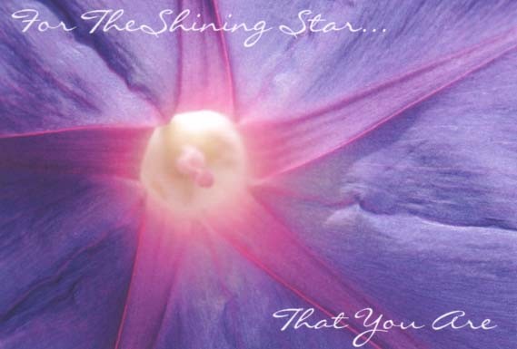 For the Shining Star That You Are Greeting Card
