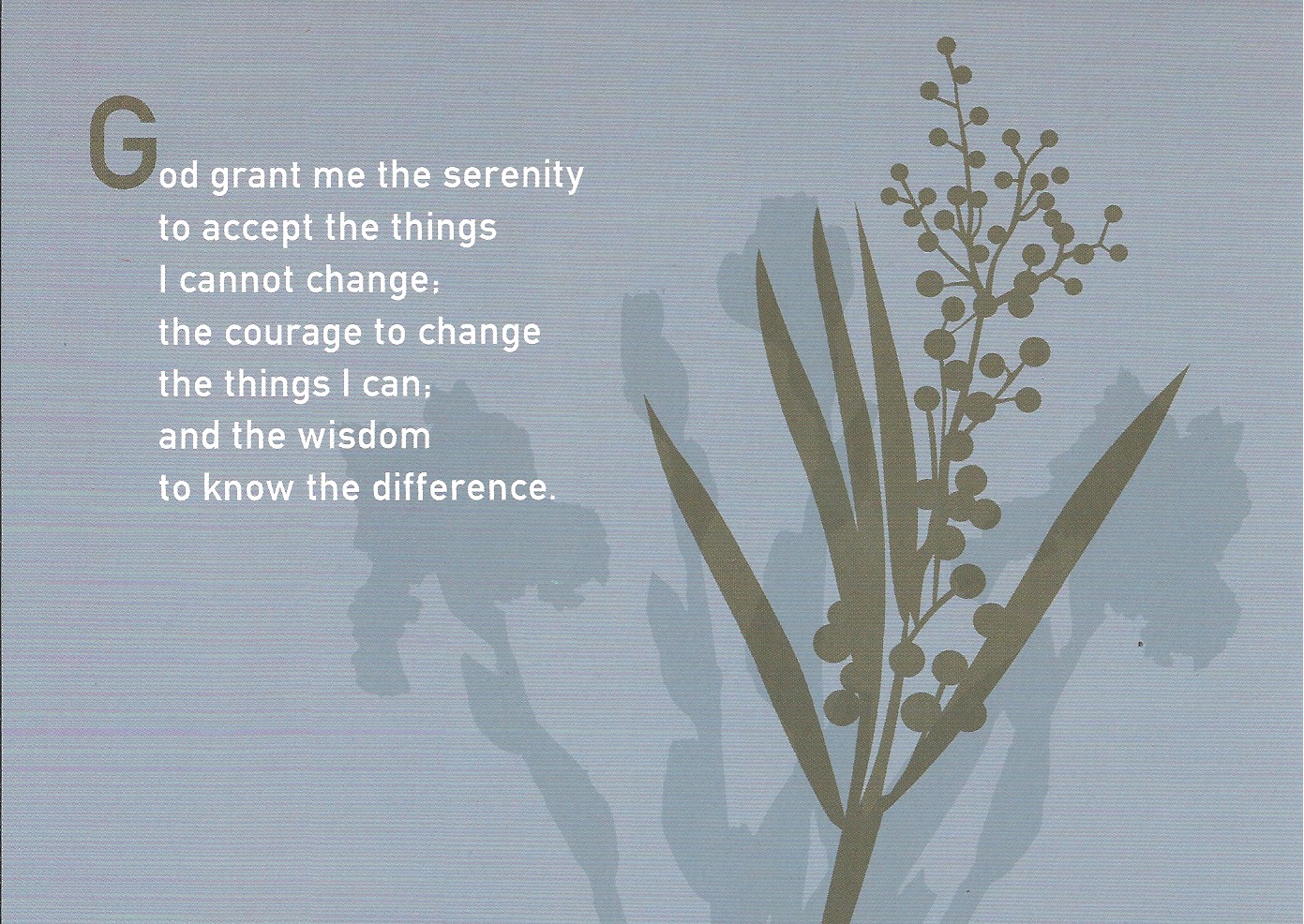 Serenity Prayer Floral Greeting Card | My 12 Step Store